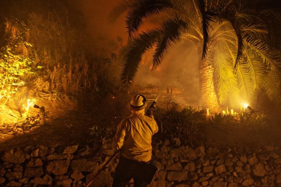 Palisades Fire Spreads Across 20,000 Acres in California, Total Deaths ...