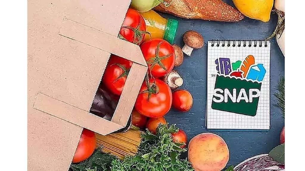 SNAP Florida Recertification 2025: Explore Renewal Process – The ...